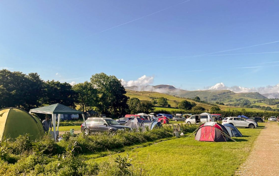 Grass Camping Pitches | Tents & Campervans | Burns Farm Campsite ...