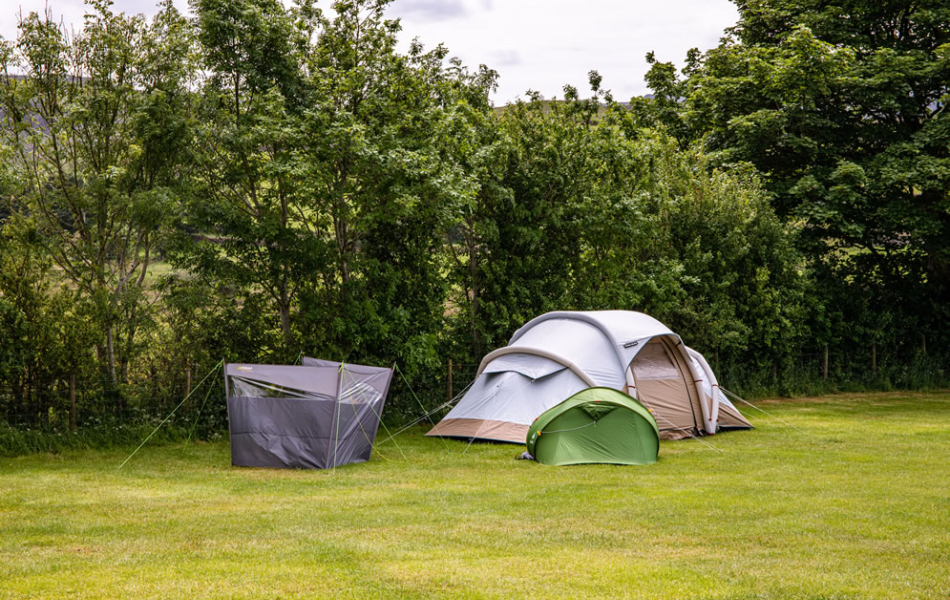 Grass Camping Pitches | Tents & Campervans | Burns Farm Campsite ...