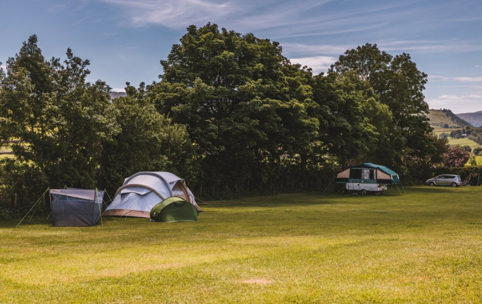 Grass Camping Pitches | Tents & Campervans | Burns Farm Campsite ...