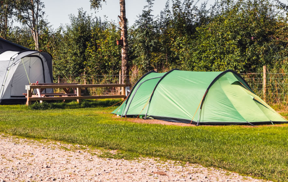 Grass Camping Pitches | Tents & Campervans | Burns Farm Campsite ...