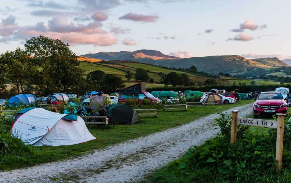 Grass Camping Pitches | Tents & Campervans | Burns Farm Campsite ...